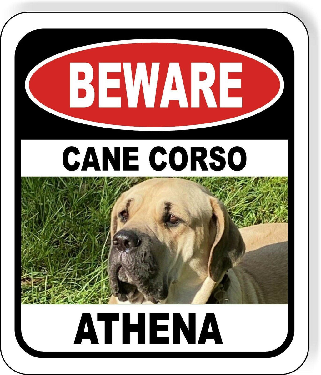 Beware Cane Corso ATHENA dog Metal Aluminum composite sign – Work House ...