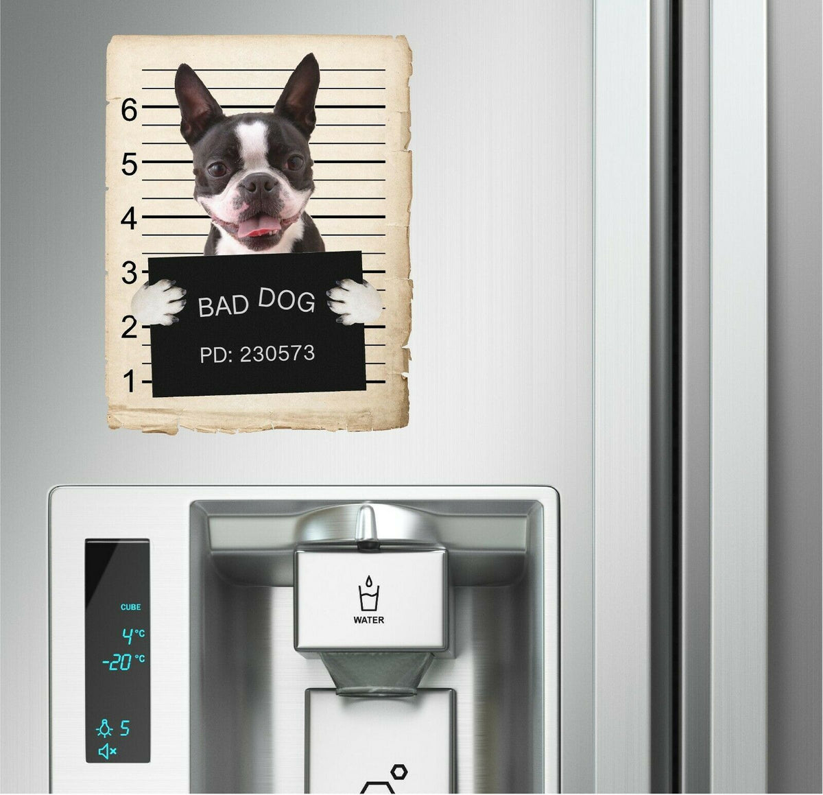 Boston Terrier Mugshot Bad Dog Fridge refrigerator Car Magnet – Work ...