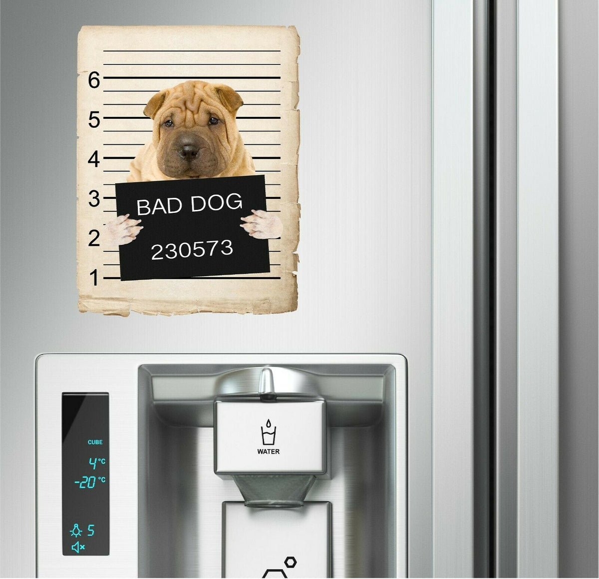 Chinese Shar-pei Mugshot Bad Dog Fridge refrigerator Car Magnet – Work ...